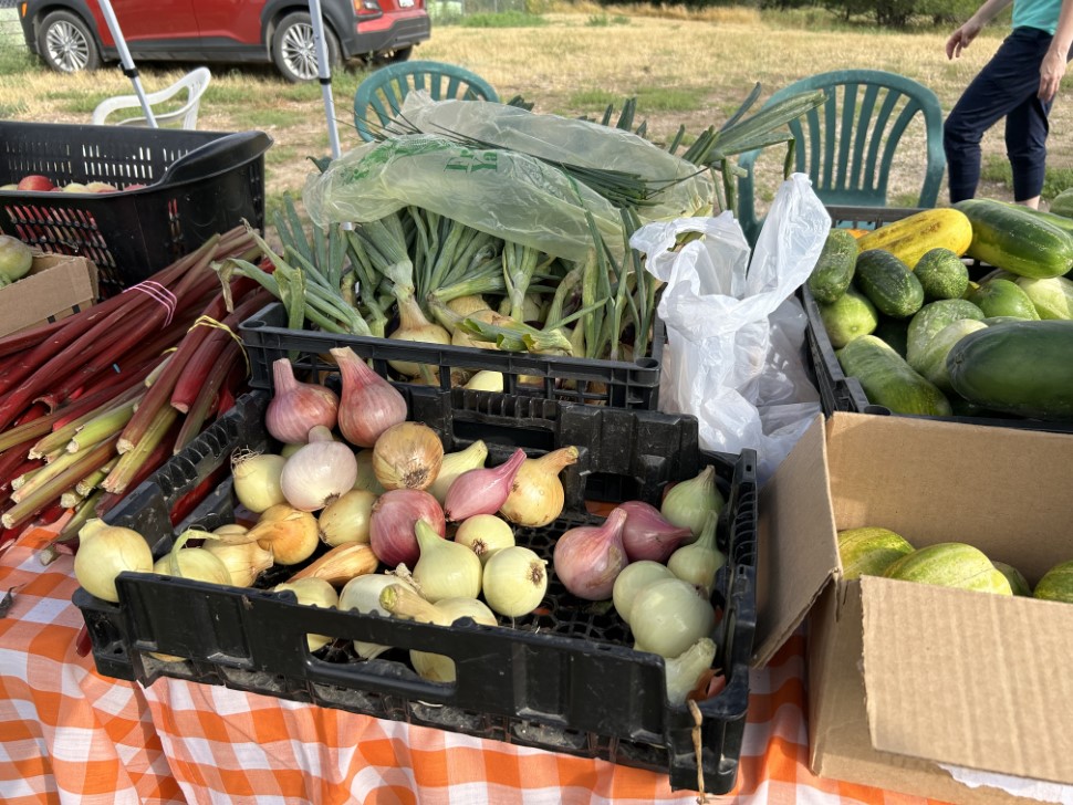 From plot to plate at the Hunger in Moose Jaw farmers market - DiscoverMooseJaw.com - Local news ...